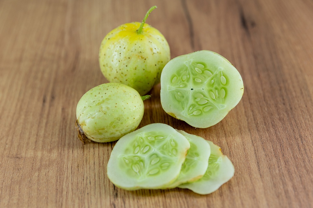 Buy Cucumber, Picnic seeds | Zollinger Bio